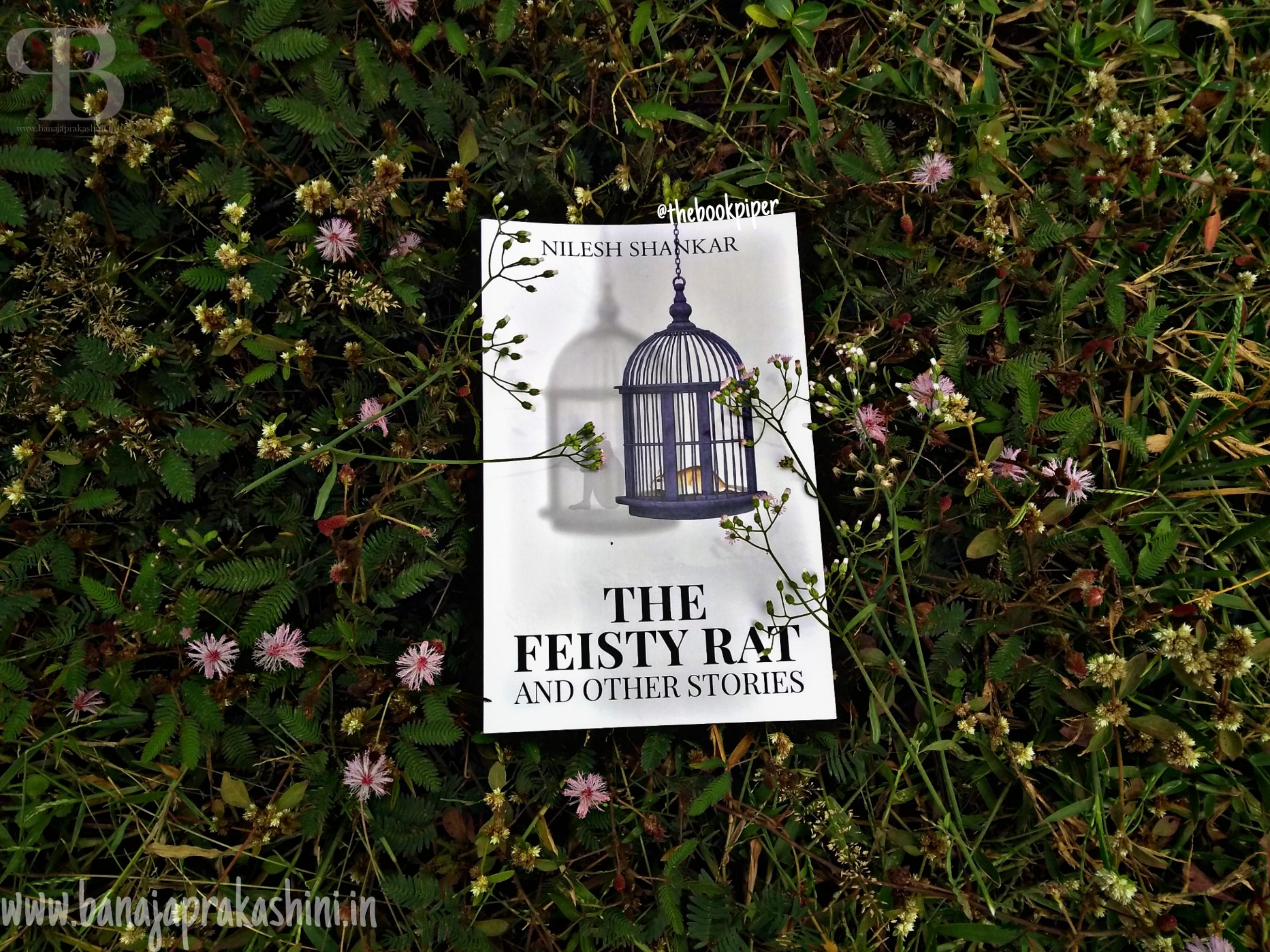 Review Pen: The Feisty Rat and other stories By Nilesh Shankar | Banaja ...